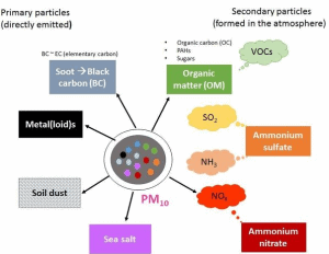PM10 monitoring | Know about particulate mater - Oizom