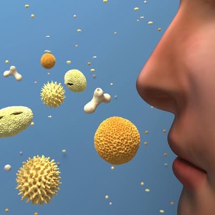 PM10 monitoring | Know about particulate mater - Oizom